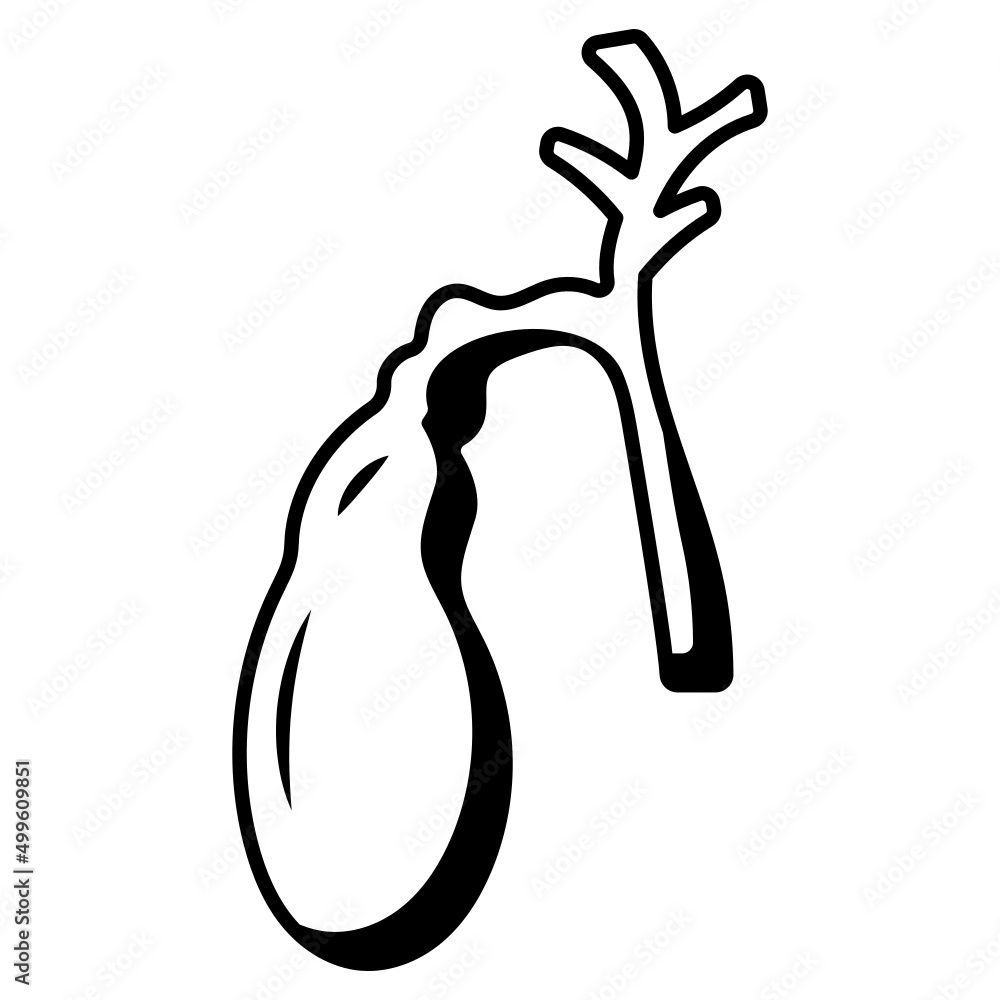 Green cholecyst vector line icon Design, Organ System Symbol, Human ...