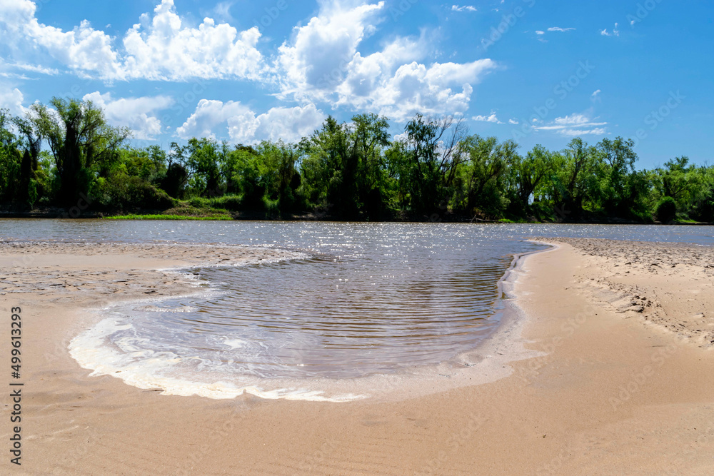 Isla en el río Paraná Stock Photo | Adobe Stock