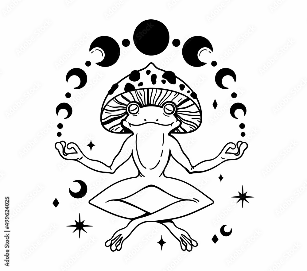 Funny frog and moon phases isolated clip art, Yoga meditating frog ...