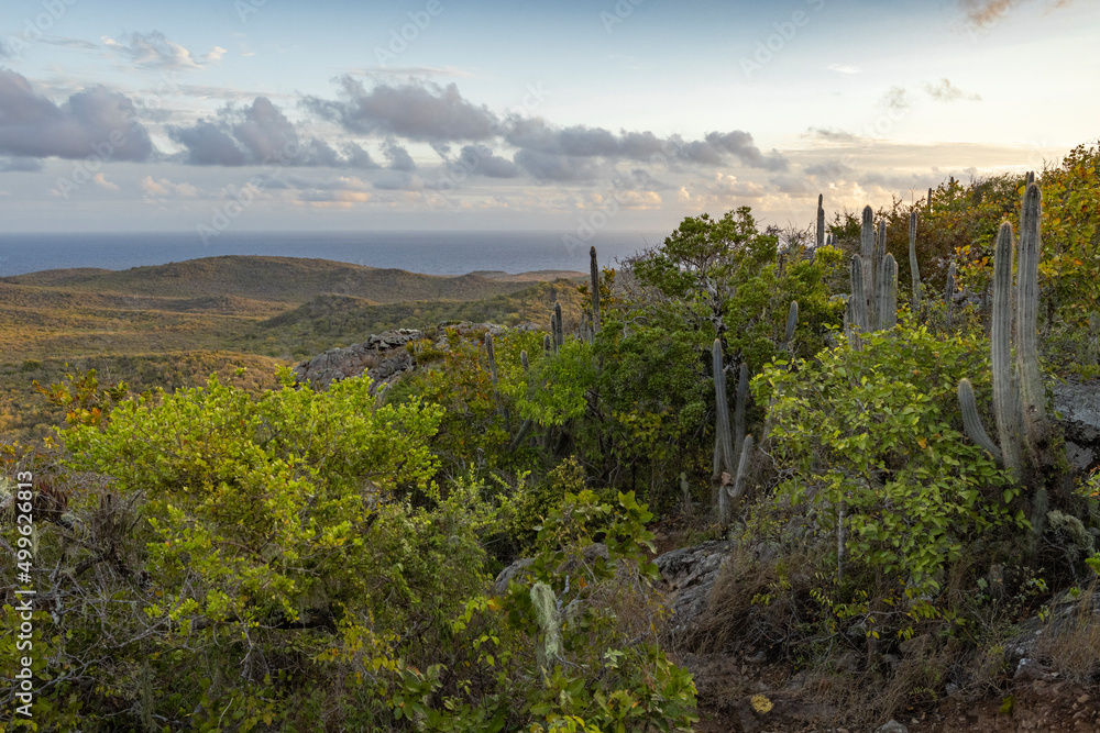 Sunrise over Christoffel National Park during the hike up to the top of ...