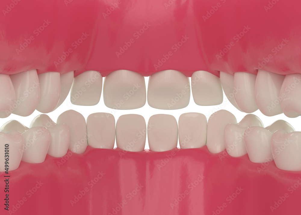 inside view inside a human mouth with aligned healthy white teeth 3d ...