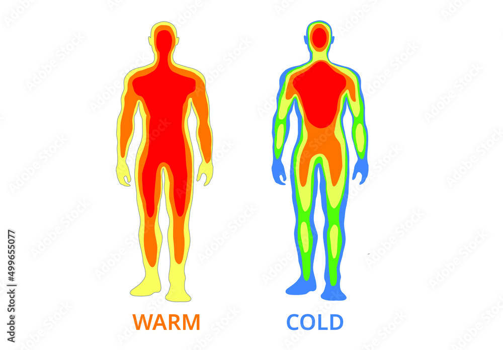 Body temperature ,Vector Illustration Stock Vector | Adobe Stock