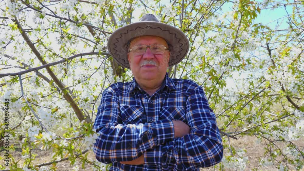 Portrait of old male with hat in orchard in spring arms crossed. senior ...