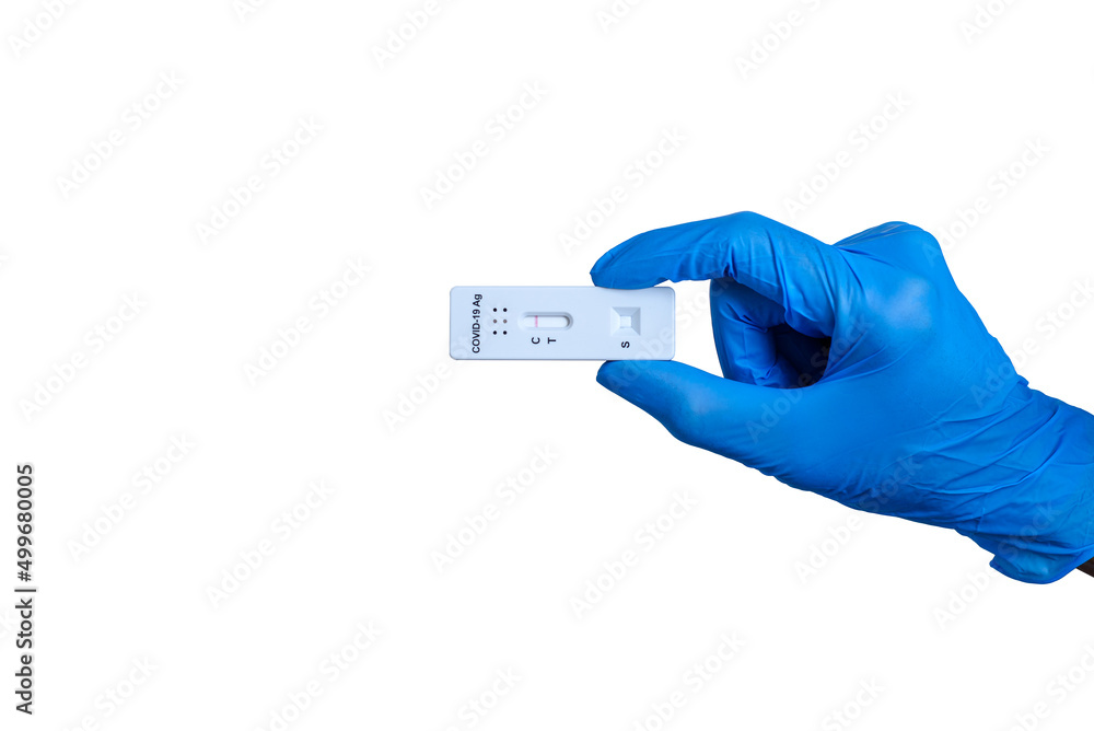Hand holding antigen test kit on white background, clipping path Stock ...