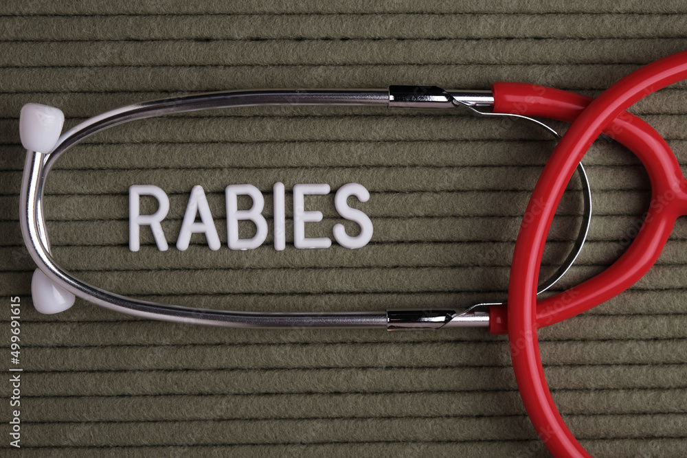 rabies - text from white letters on green background with stethoscope ...