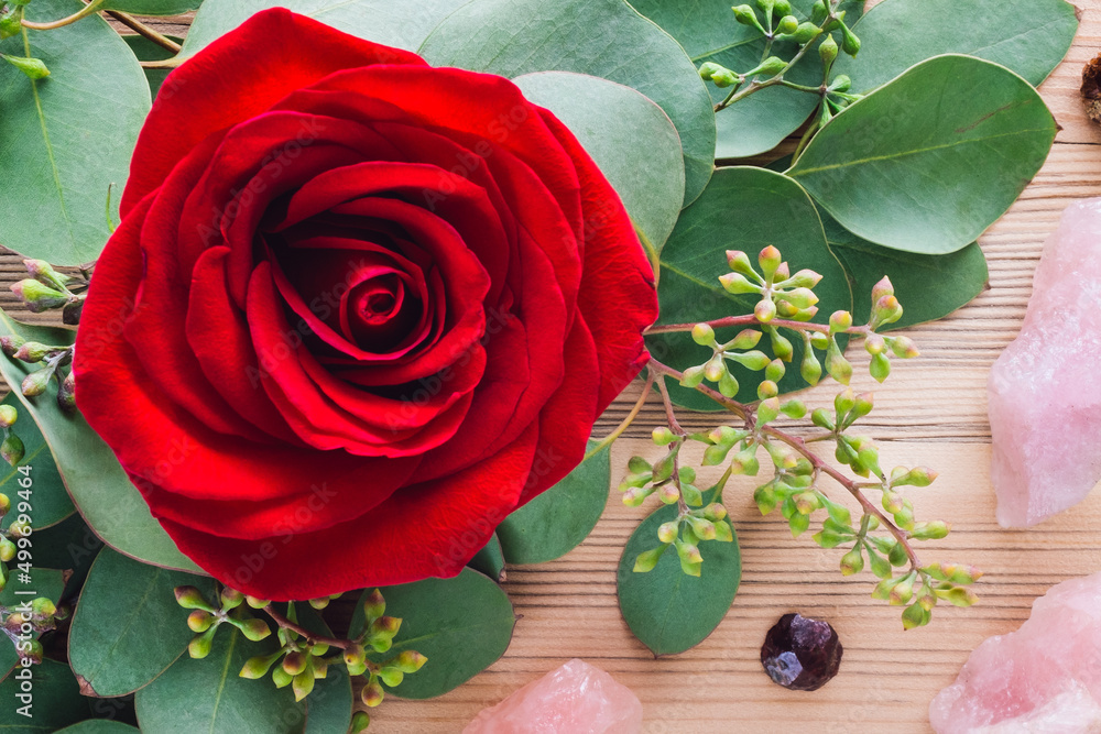 Red Rose with Eucalyptus and Crystals on Cedar Background Stock Photo ...