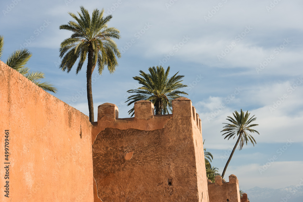 The palm trees above the ramparts of the medina of Marrakech in Morocco ...