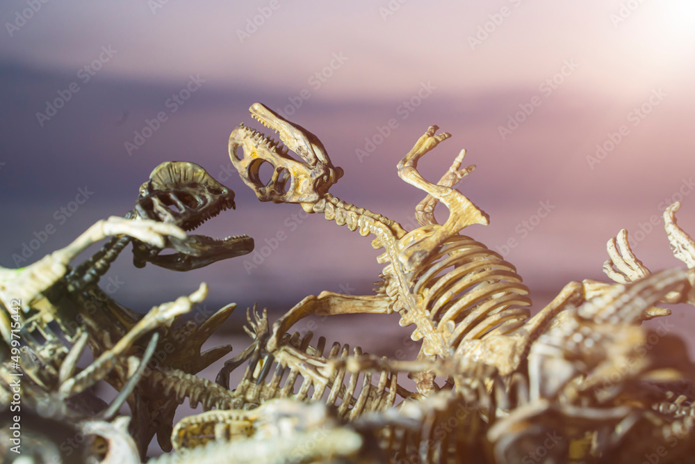 extinct dinosaur skeletons and skulls archaeological excavations, the ...