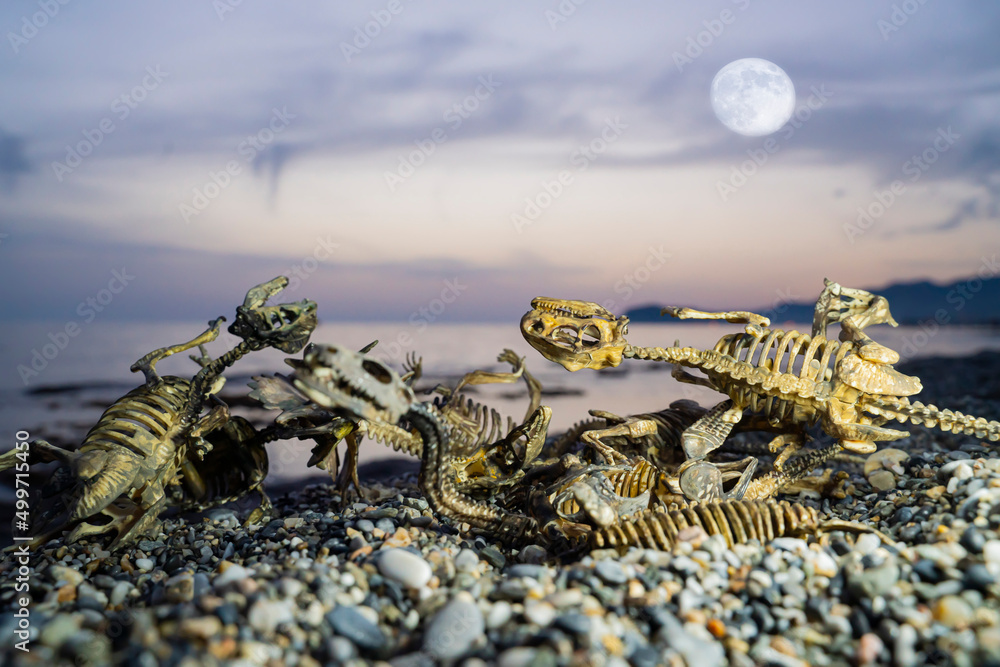 extinct dinosaur skeletons and skulls archaeological excavations, the ...