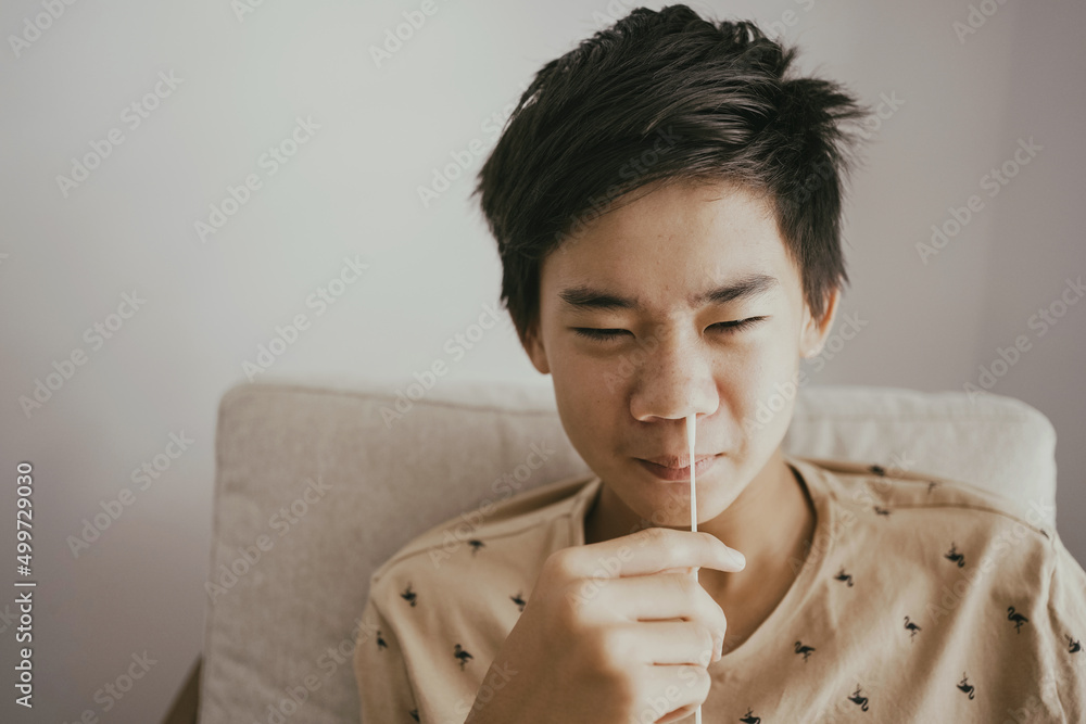 Mixed Asian teen boy getting nasal swab test at home, Covid quick rapid ...