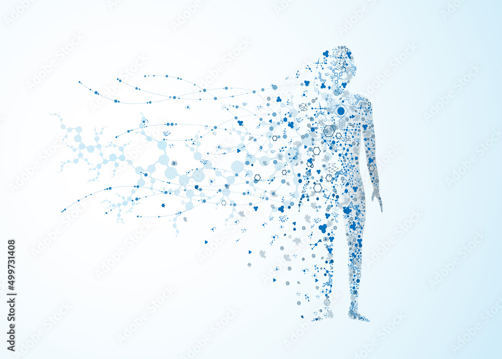 molecule body concept of the human DNA vector chemistry science ...