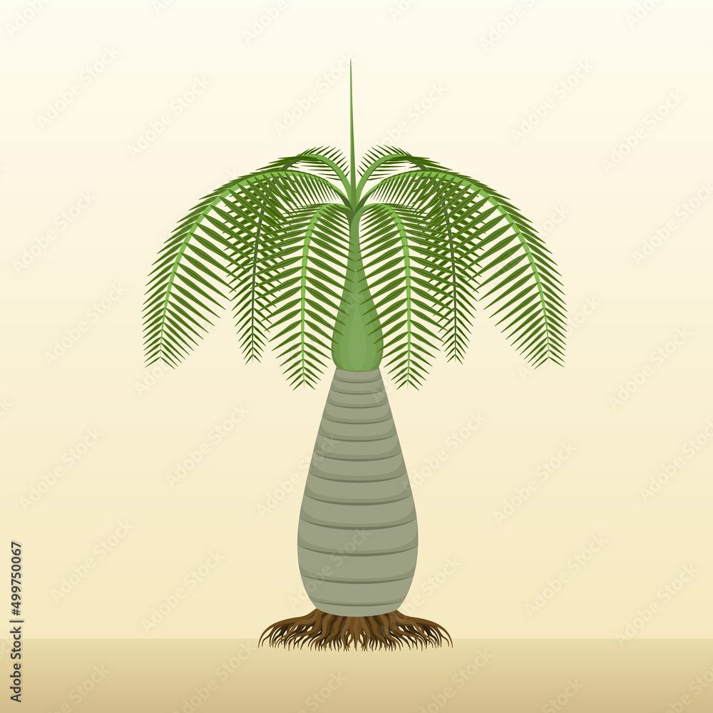 Palm tree cute clipart cartoon drawing illustration vector Premium ...