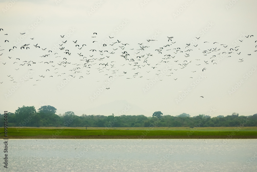 Parakrama Samudra water reservoir, Polonnaruwa, Sri Lanka Stock Photo ...