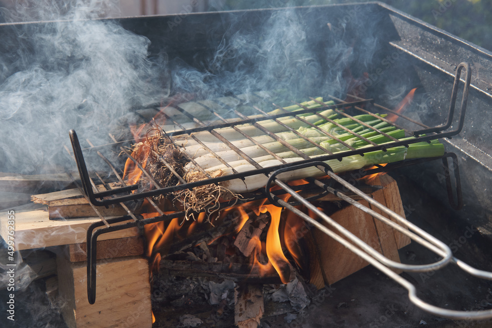 Calçots, a catalan young onions. In spring, friends and families meet ...