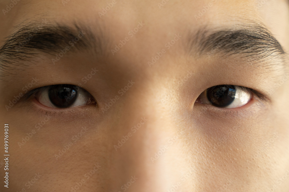Eyes of young Asian man with dark brown iris and eyebrows. Face of ...