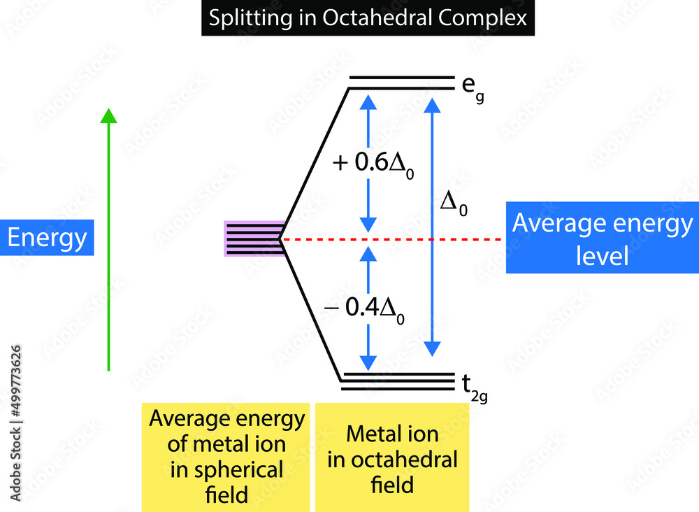 Structure of Splitting in Octahedral Complex Stock Vector | Adobe Stock