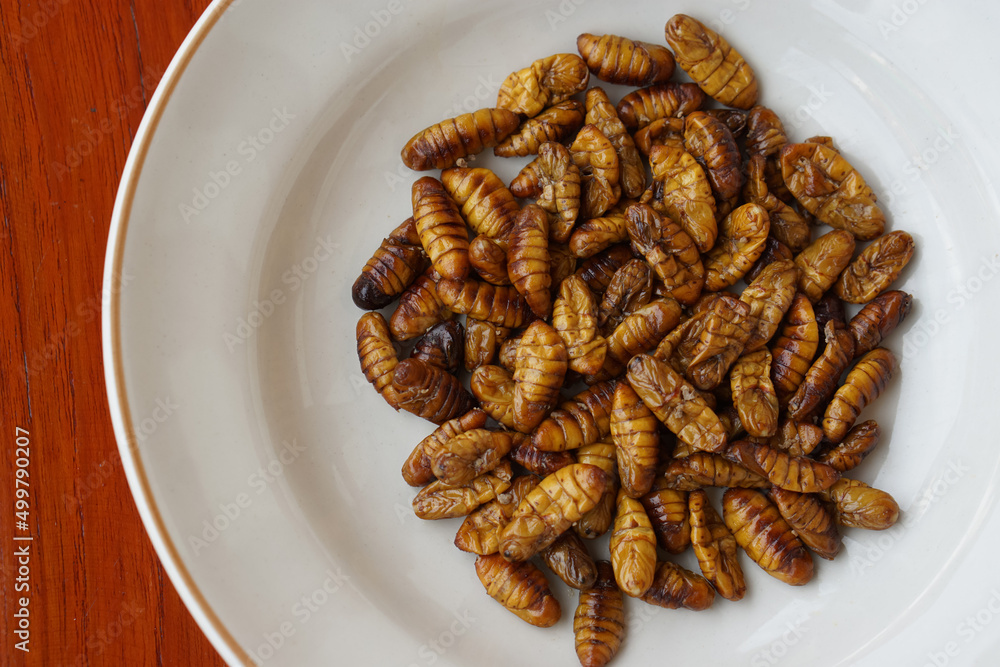Closeup fried silk worms on white plate. Concept : insects eating. Weird food. Very popular ...