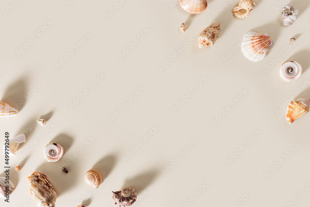 Seashells and starfish with shadows on beige pastel background at ...