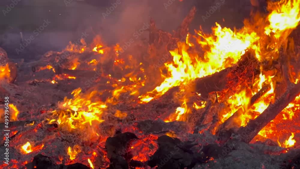 Large bushfire of a forest fire out of control Stock Video | Adobe Stock