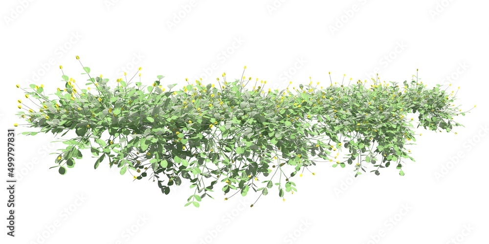 Climbing plants creepers isolated on white background 3d illustration ...
