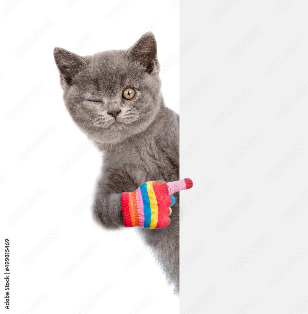 Winking cat looks from behind empty banner and points on empty space ...