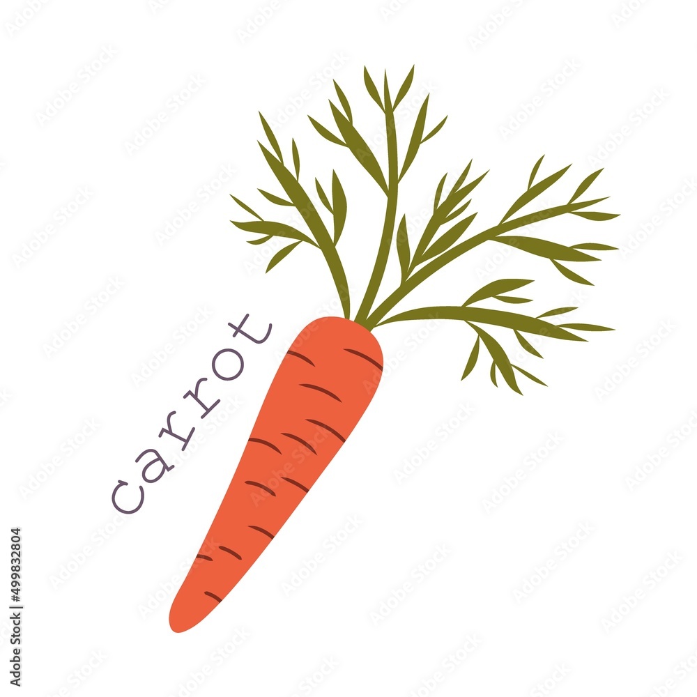 Flat cartoon carrot isolated on white background. Red carrot drawing ...