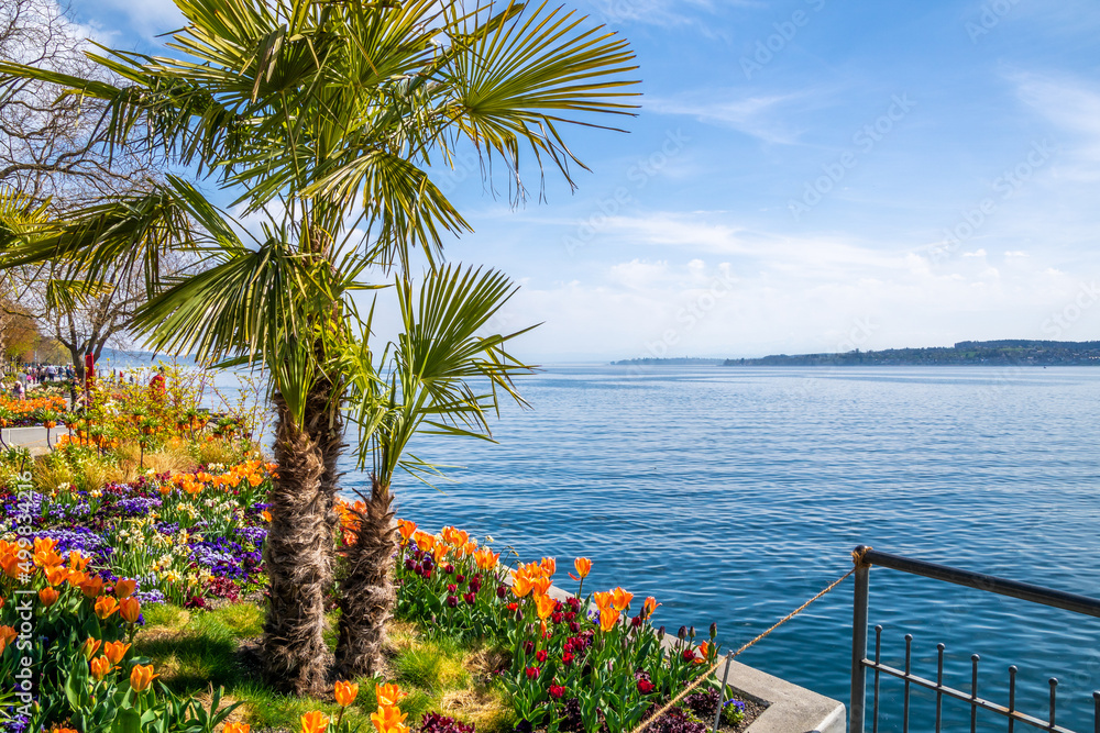 Seepromenade Überlingen am Bodensee mit Palmen und bunten Blumen Stock ...