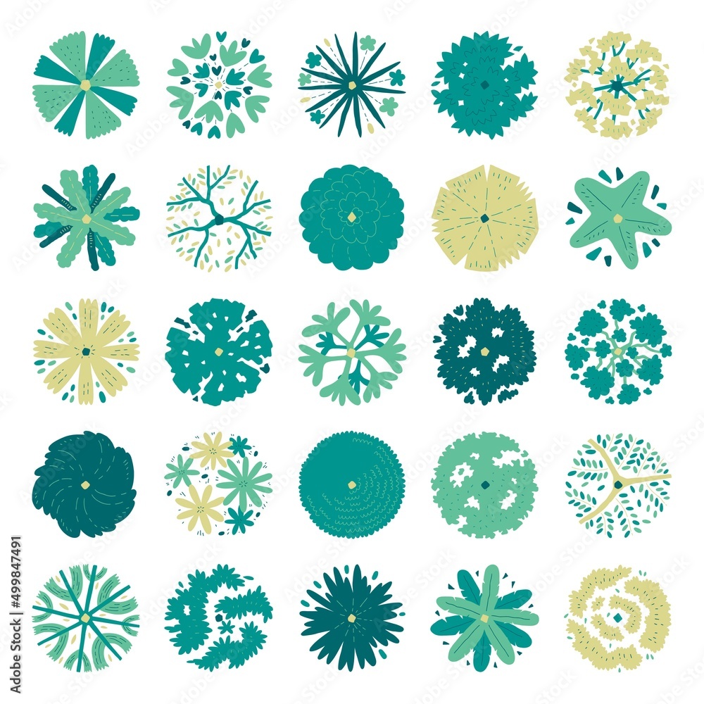 Hand drawn vector set of top view trees. Stock Vector | Adobe Stock