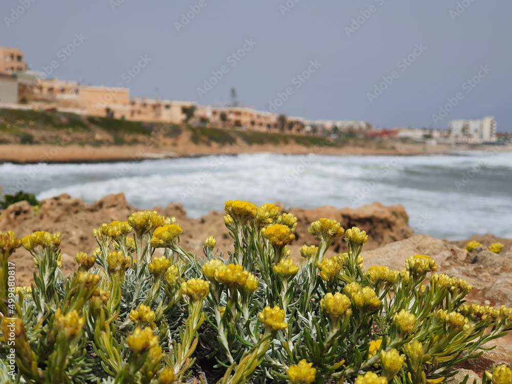 Vega Baja del Segura - Torrevieja - Paisajes de Cabo Cervera y espacio ...