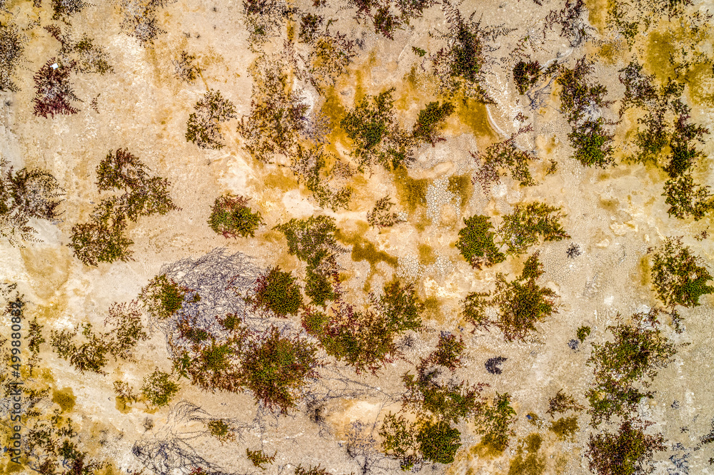 Piura, Peru: Aerial view of the vegetation in the Sechura desert, very ...