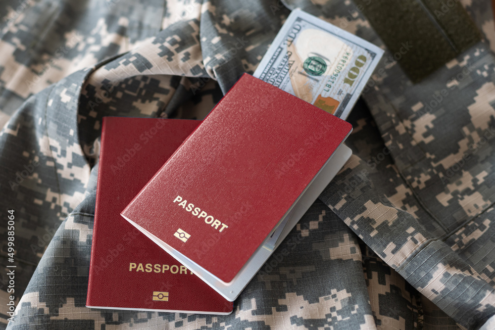 passports, money, military uniform texture of pixeled camouflage Stock ...