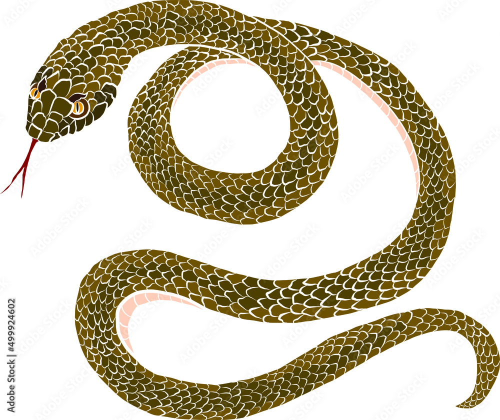 Japanese snake vector for tattoo design isolate on white background ...
