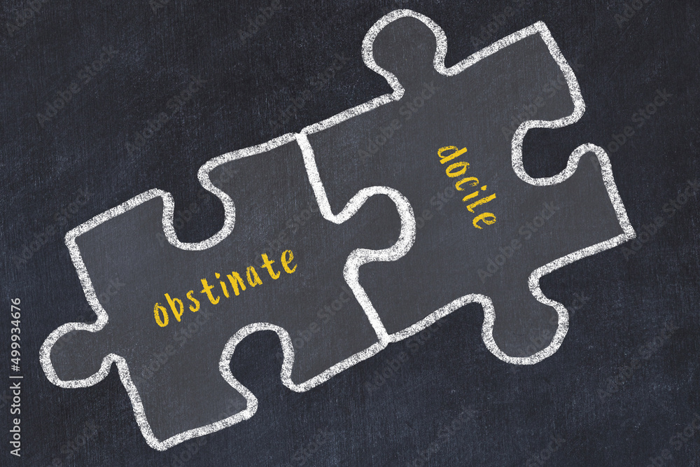 Concept of dealing with troubles. Chalk sketch of connecting puzzles ...