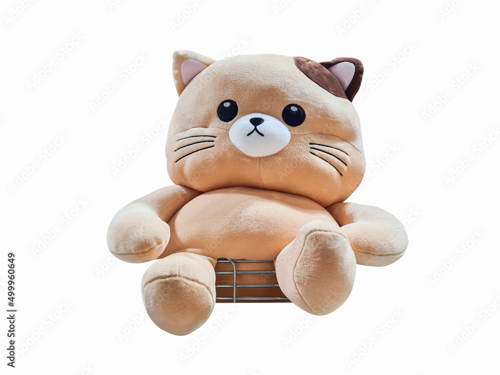 brown fat cat plush toy isolated on white background. Cat plush stuffed ...