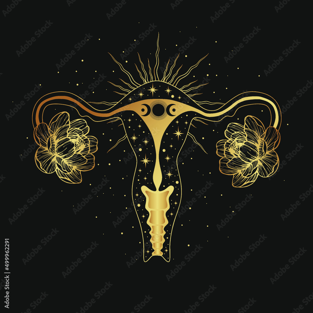 Beautiful female reproductive organs with crescent. Uterus, womb major ...