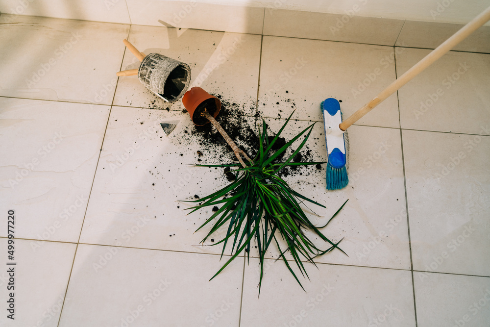 Foto de Broken flower pot on the floor with spilled soil and damaged ...
