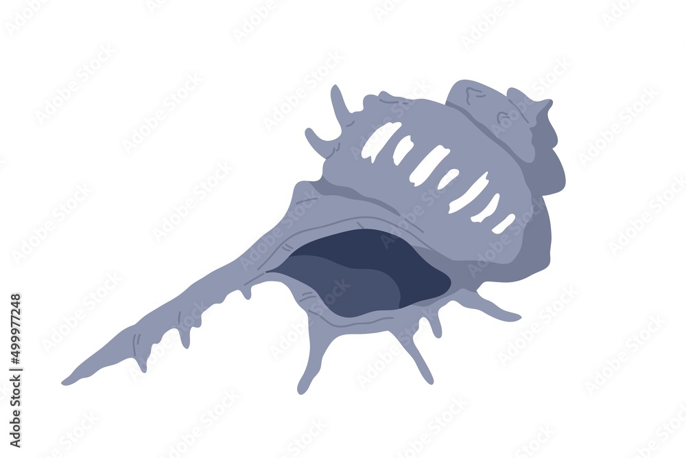 Sea underwater shell with spikes. Seashell, undersea mollusc. Twisted ...