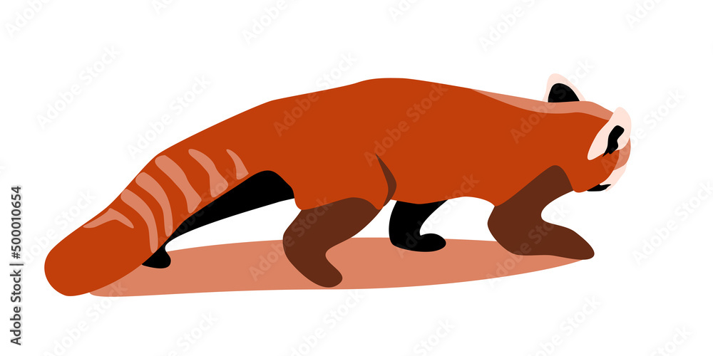 Red panda sneaking side view, bear cat flat vector illustration Stock ...