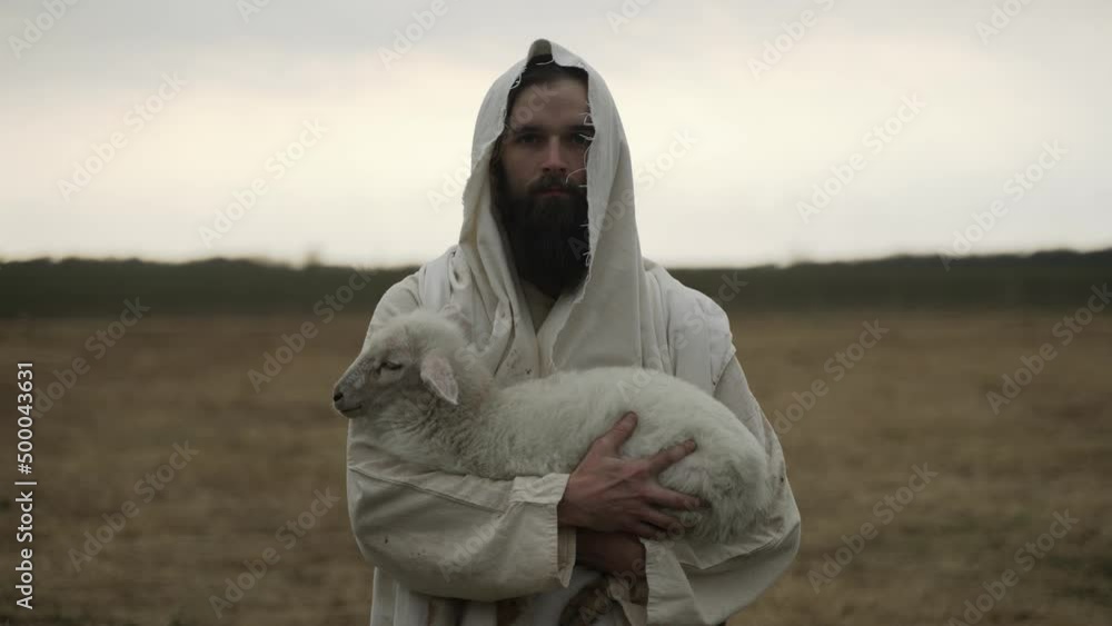 - Jesus Christ, bible, prophet, forgive, christianity, christian ...