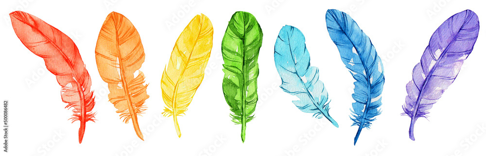 Set of rainbow bird feathers isolated on white. Watercolor illustration ...