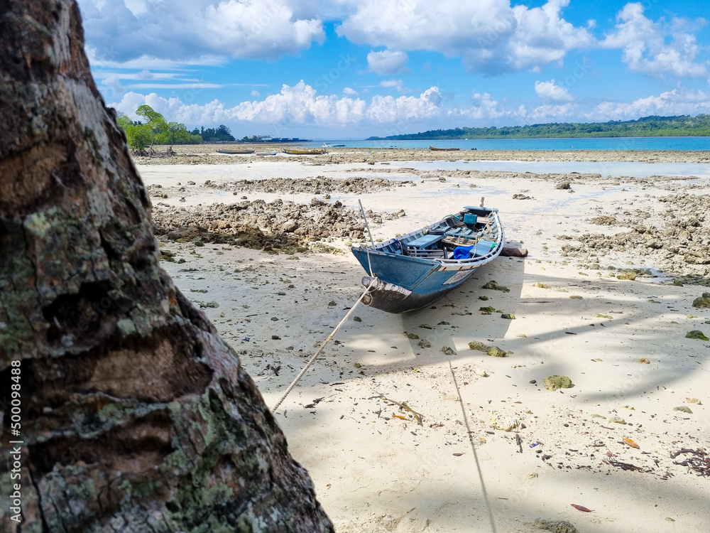 shot going from coconut tree bark to wooden fishing boat stranded on ...
