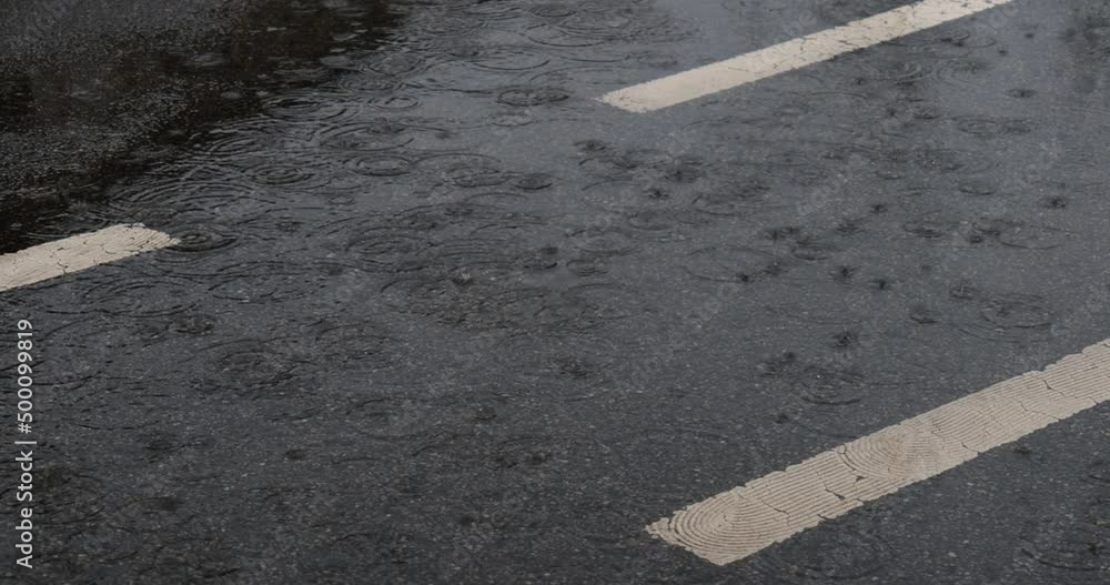 Stockvideon rain falling on the asphalt road. close on heavy rain on ...