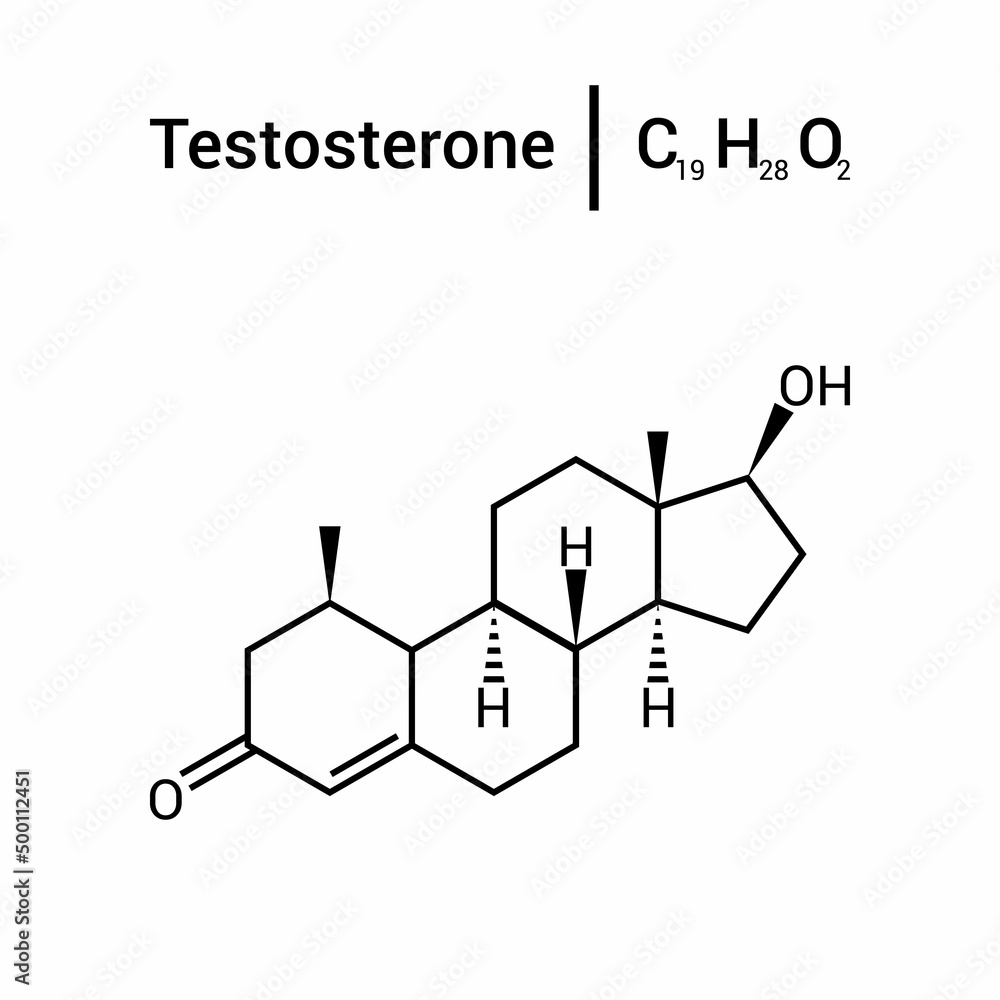 chemical structure of testosterone (C19H28O2) Stock Vector | Adobe Stock