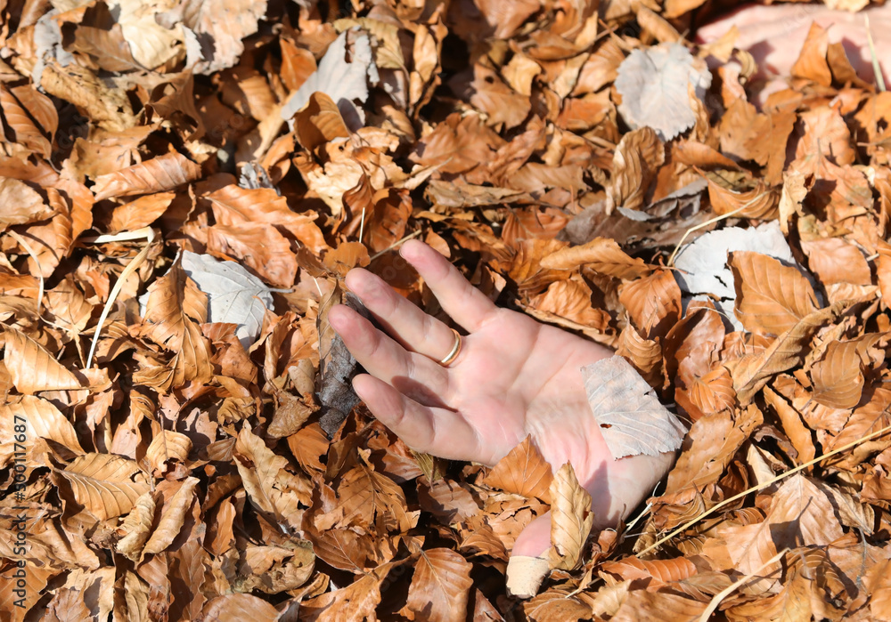 helpless hand of the young husband submerged by the dry fallen leaves ...