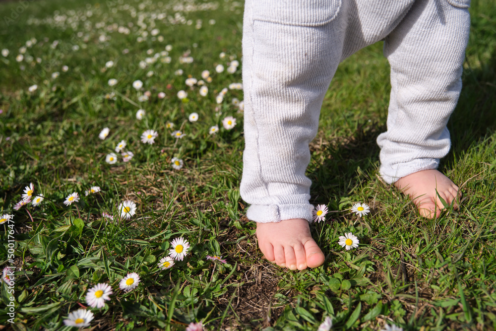 bare feet of a little boy on the grass in spring. wellness for health ...