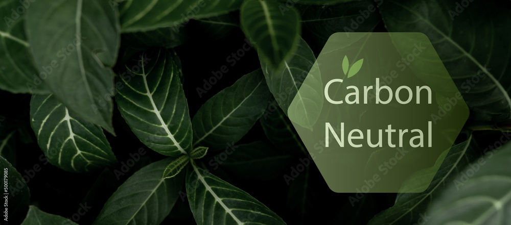 Carbon neutral concept. CO2 neutral in hexagon logo on green leaves ...
