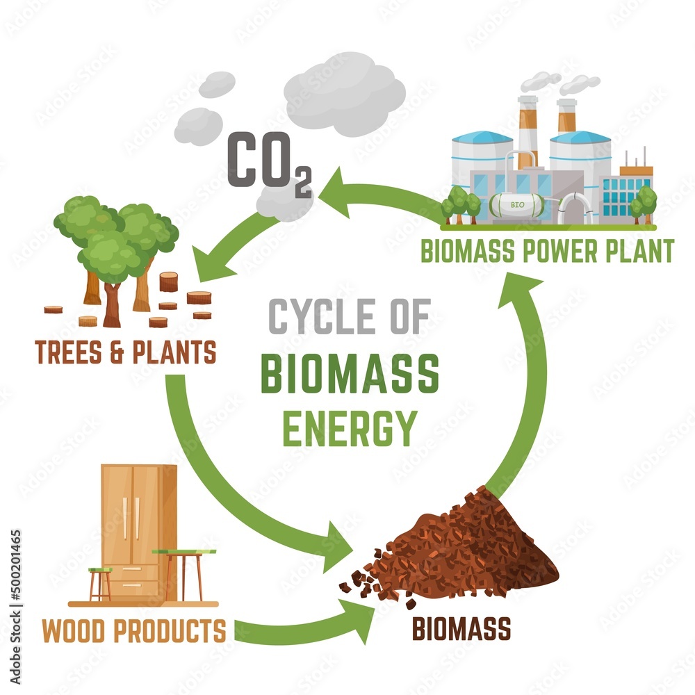 Biomass energy vertical poster with useful infographics. Vector ...