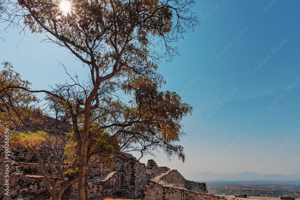 Ancient pyramids and growing trees on the ruins at the top of the ...
