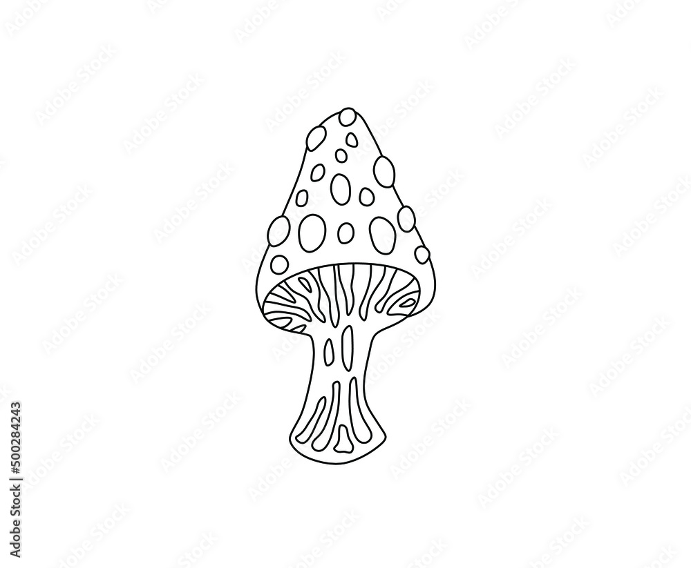 Vector isolated poisonous mushroom toadstool with blisters colorless ...
