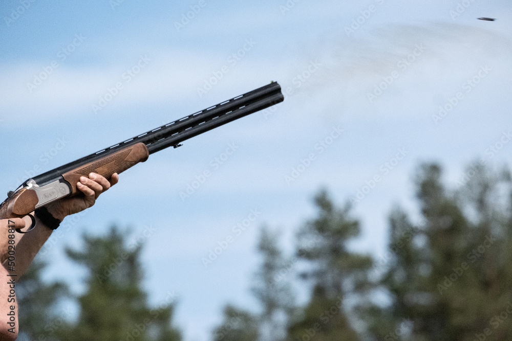 Hunting rifle firing. Hunting in the forest. Hunter loading gun with ...